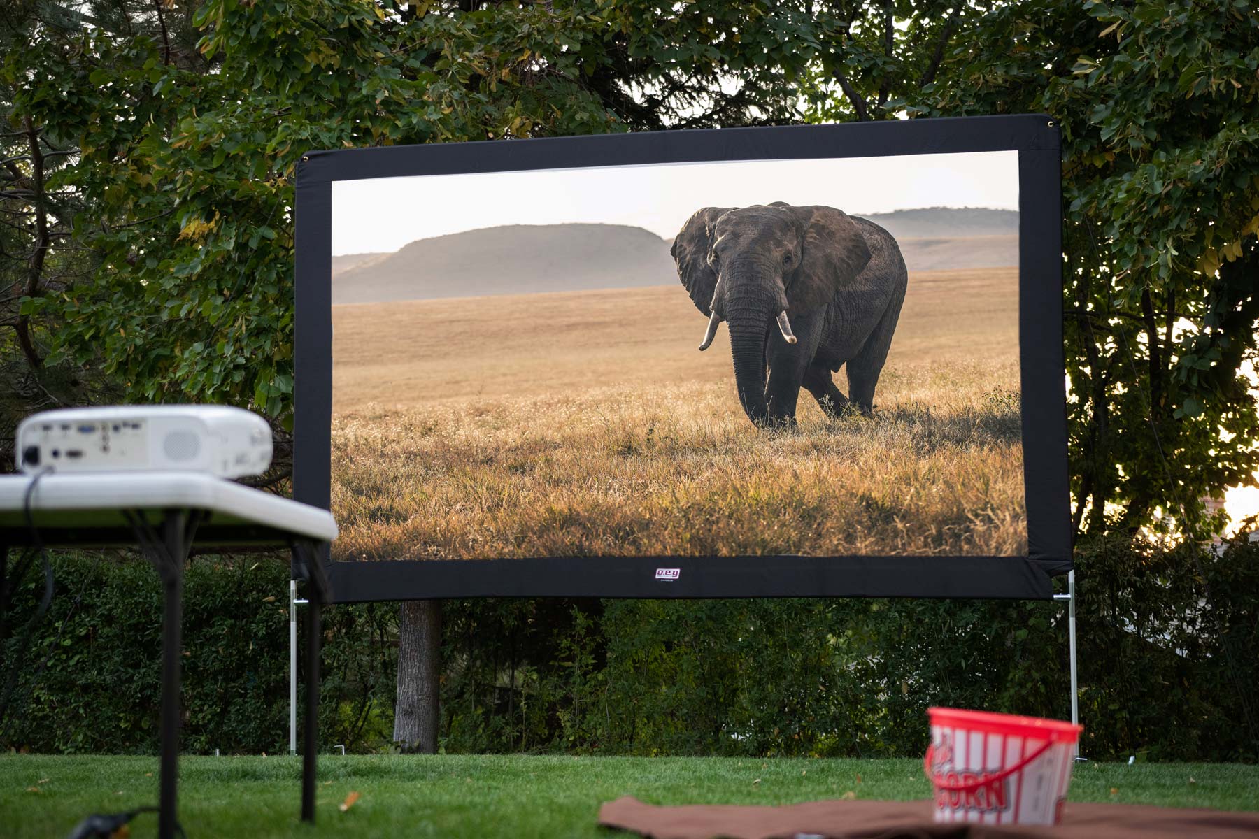 Outdoor Projector Screen - Devos Outdoor